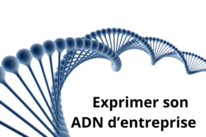 Comment définir l'ADN de son entreprise ? - IICH (École)